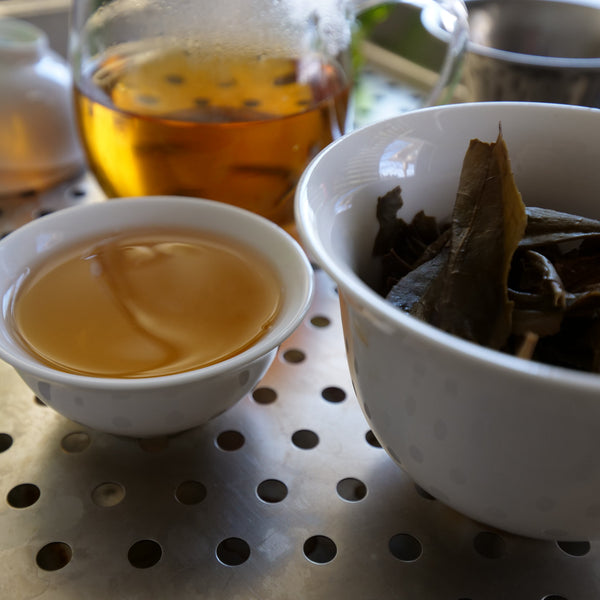 Taiwanese High Mountain Oolongs: Spring Crop VS Winter Crop - What's ...
