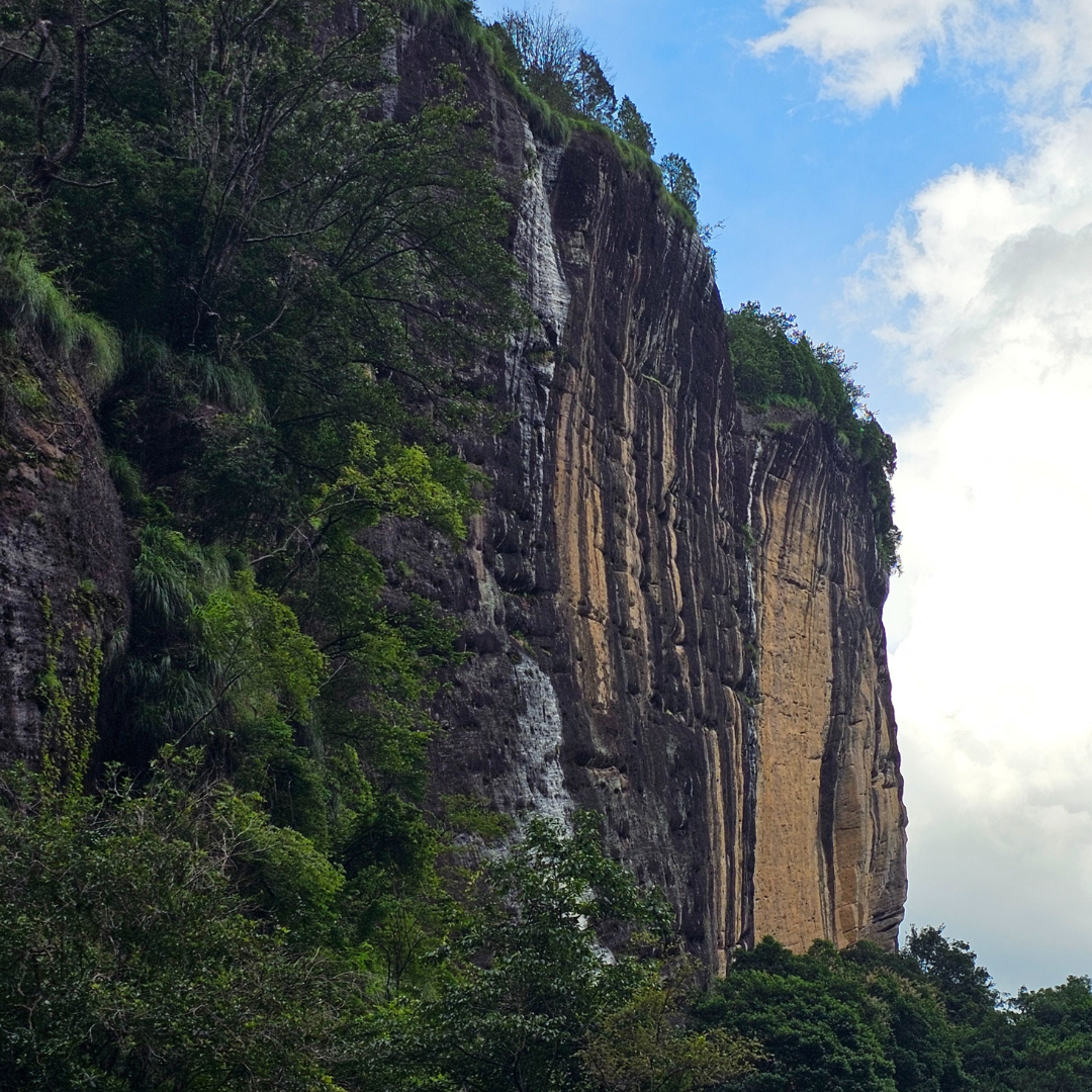 Tie Luohan Wuyi Rock Oolong | Beautiful Taiwan Tea Company